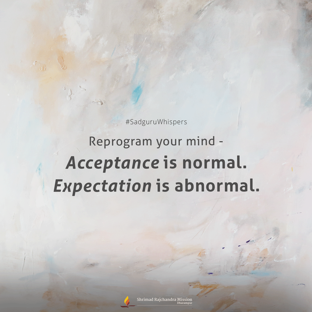 Seeking Normal – Day 19 – Always Starting…The Art of Never Giving Up